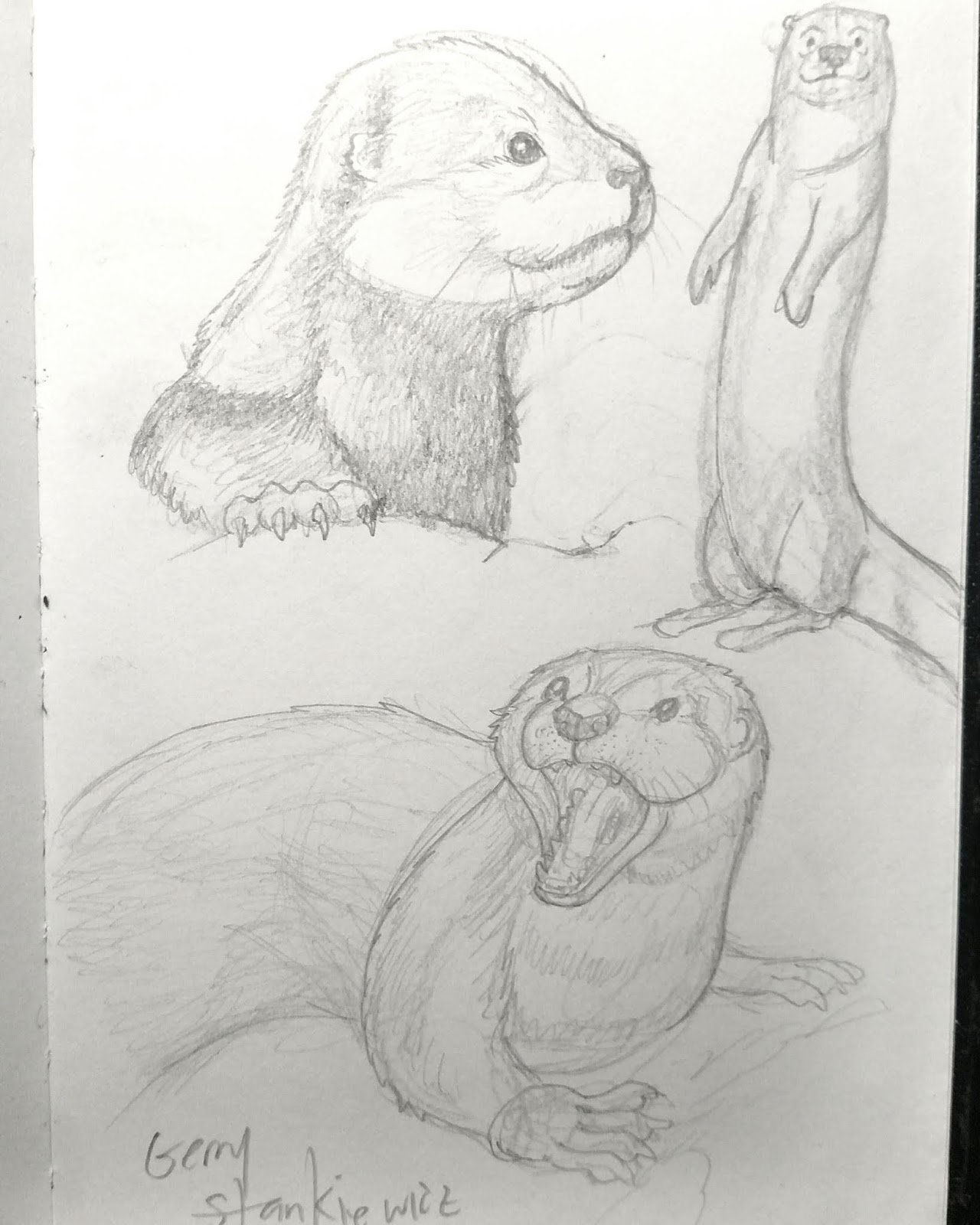 The Tale of Steve Silverado: Sam Bouka: The Otter Pirate Design Process