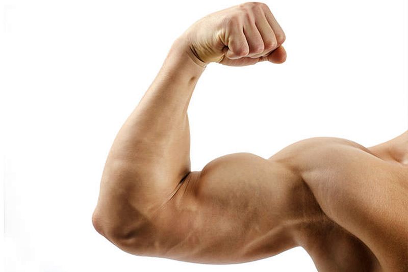 Les prédications de Vincent: La langue, un organe petit mais costaud