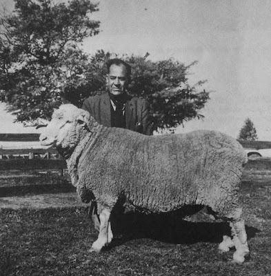 Zootecnia Digital: septiembre 2017