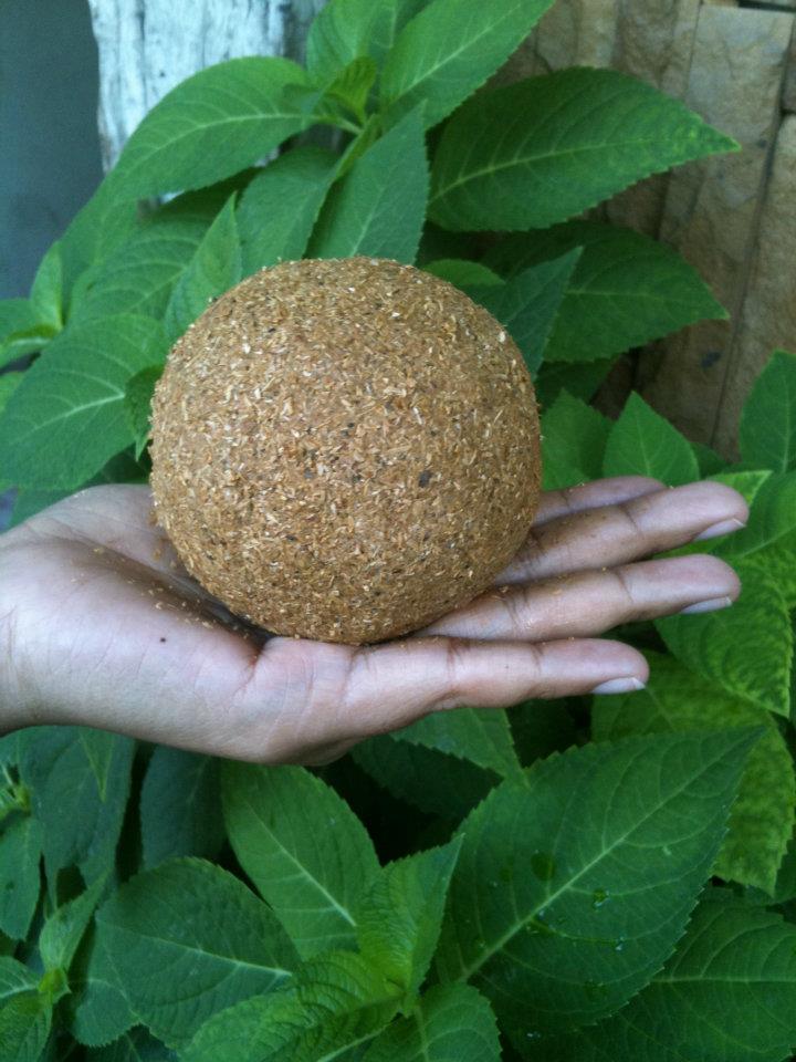 เทคโนโลยีชีวภาพ: EM Ball