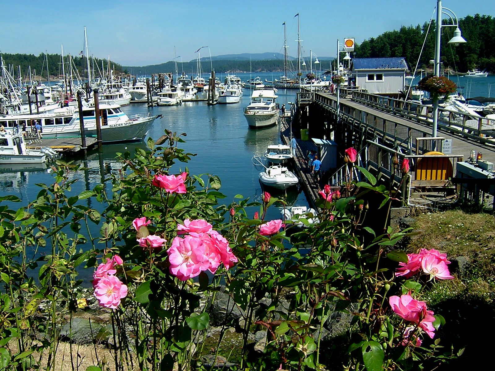 Gassin. A voyage to Gassin, Var near St-Tropez, Provence-Alpes-Côte d ...