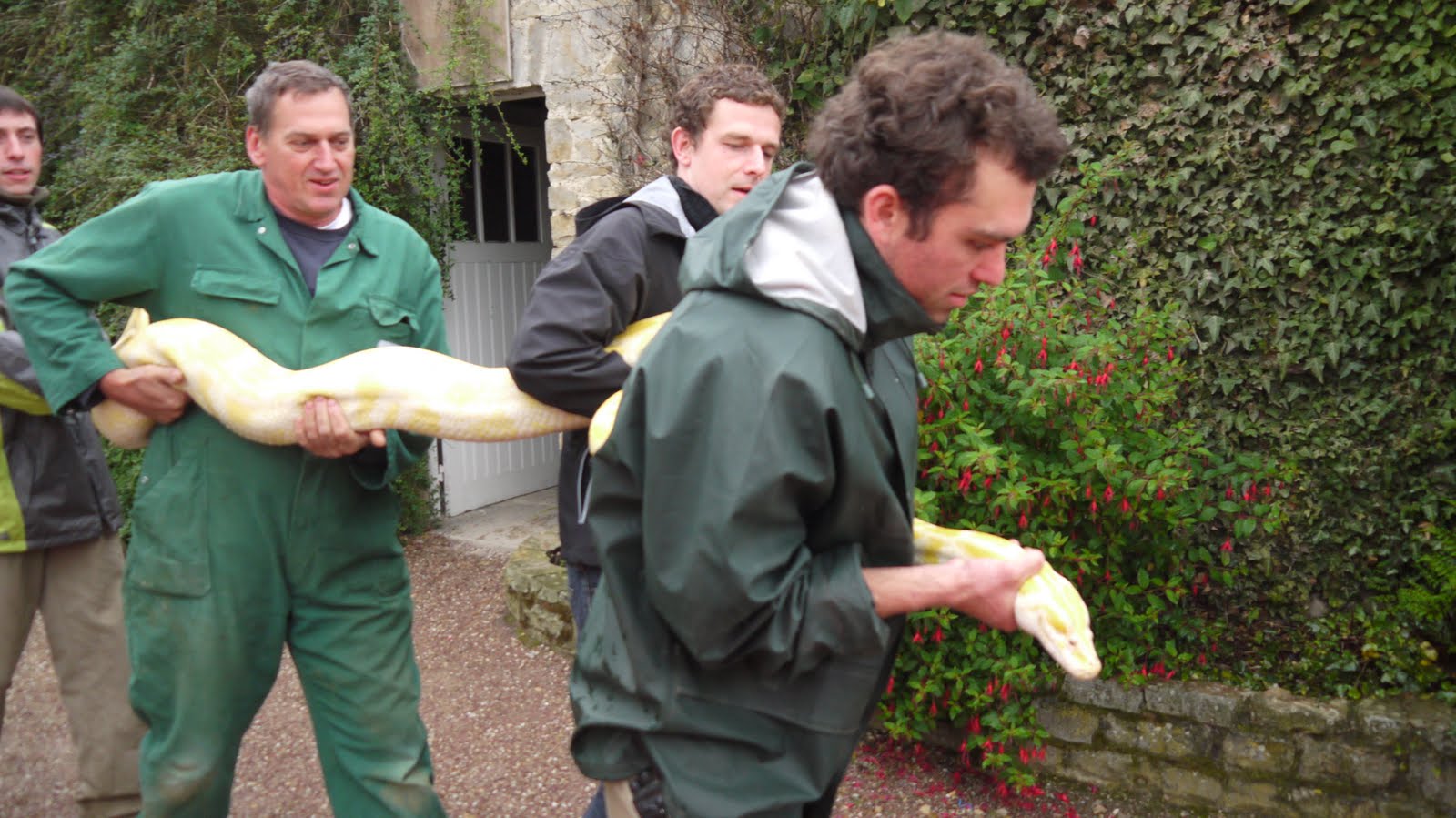 L'ACTUALITE DU ZOO DE JURQUES ( en Normandie ): Les serpents déménagent