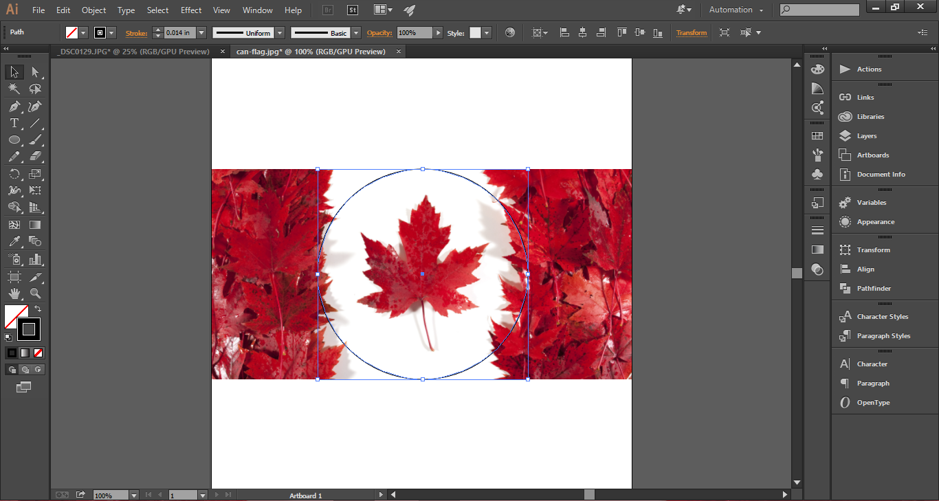 How to use Clipping Mask feature in Adobe Illustrator?
