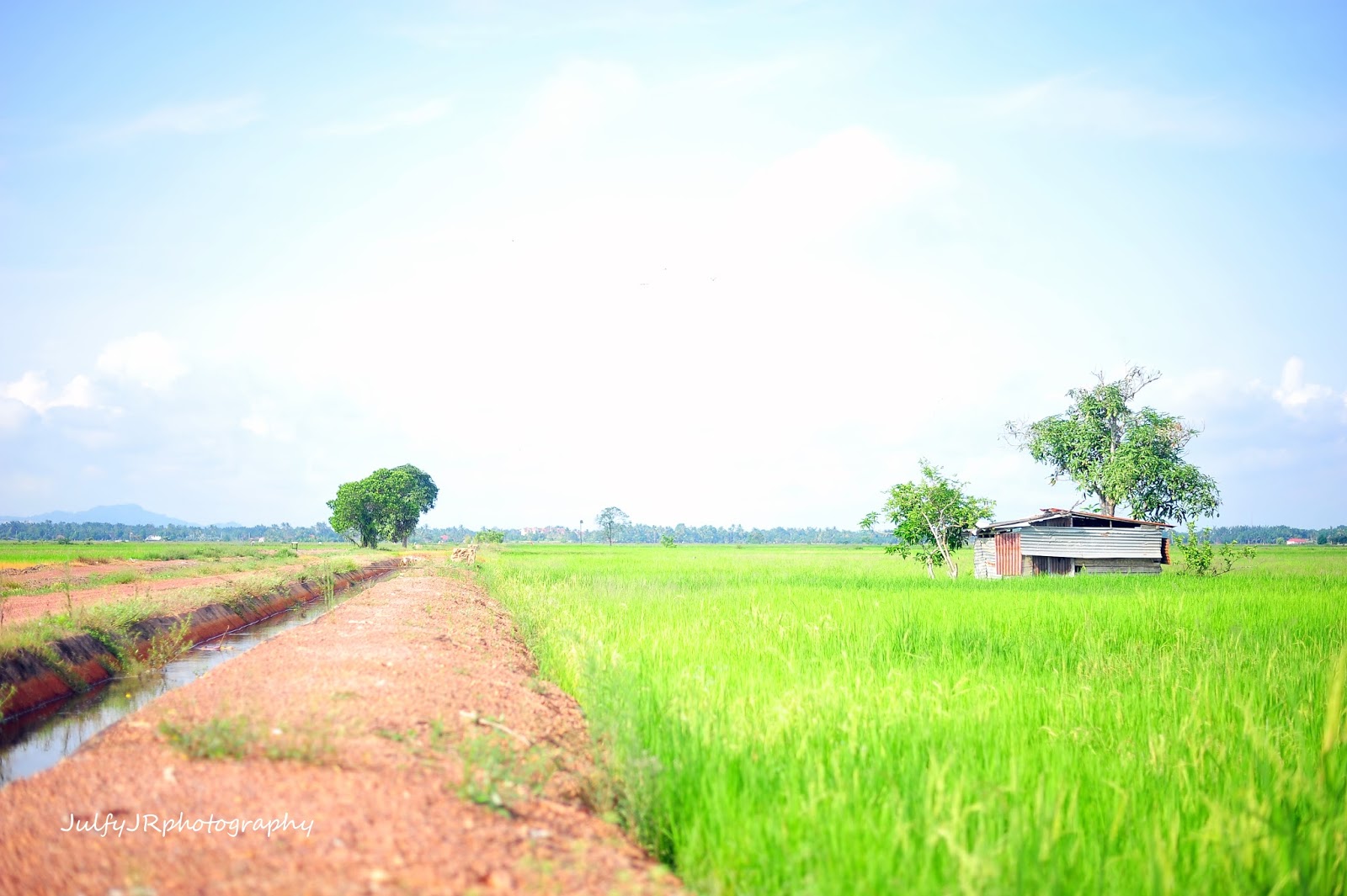 Kampung Sawah Ring, Muar