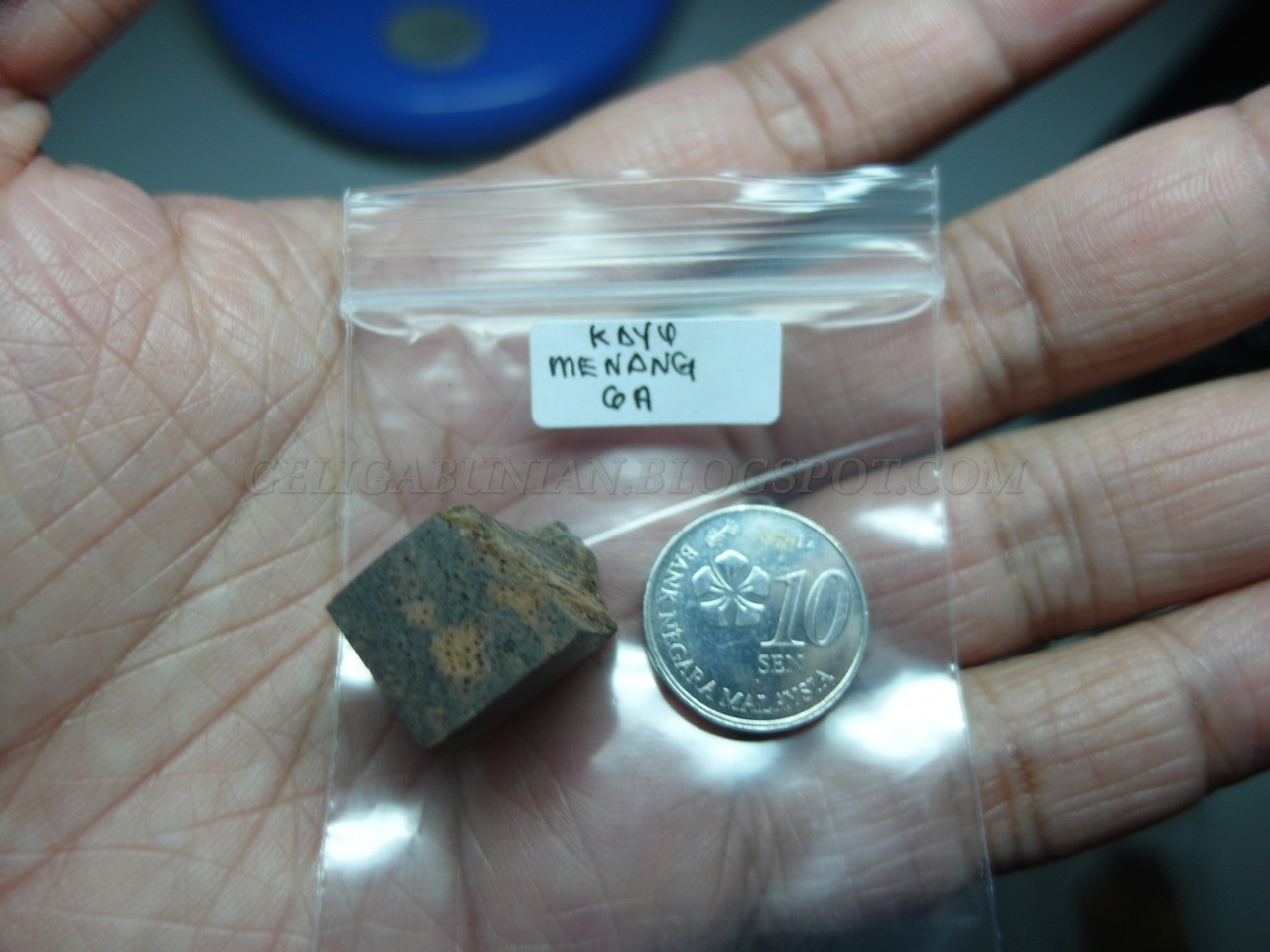 BLOG UTAMA Y.M PADUKA AYAHANDA PAY 8: KAYU MENANG