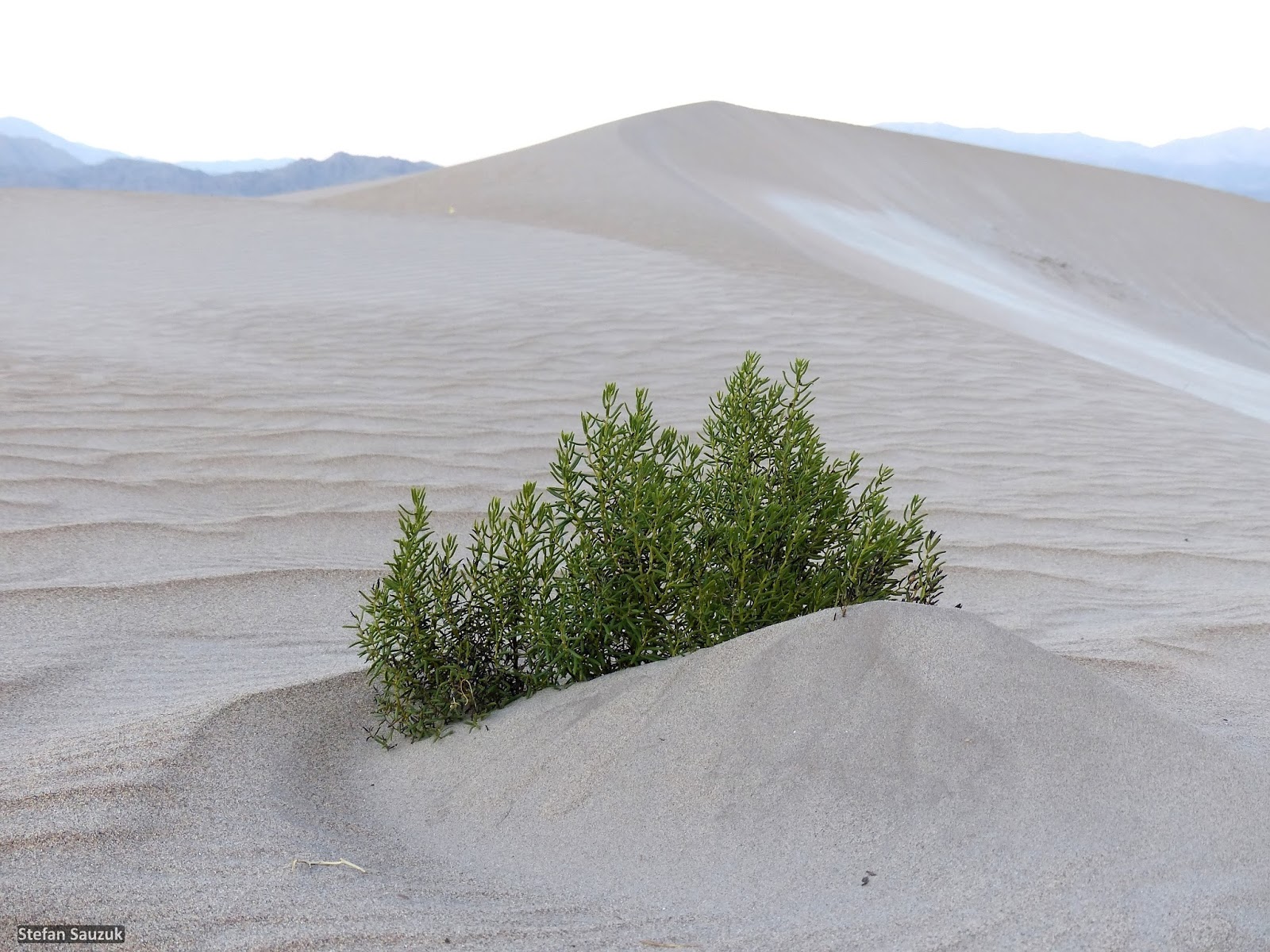Geografía de Catamarca