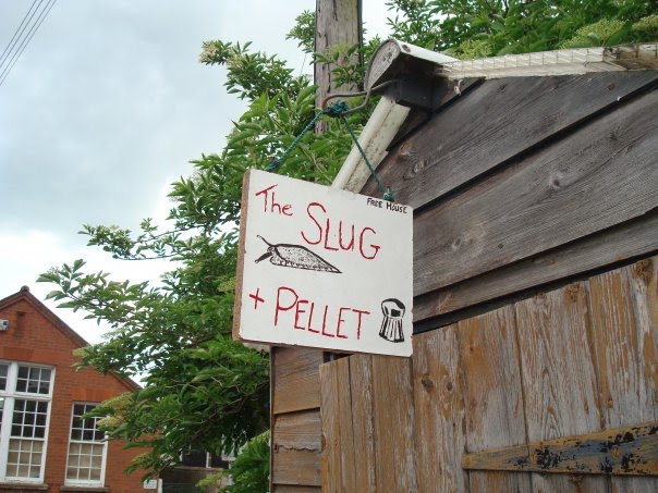 yanny mac (ret'd): February 2011