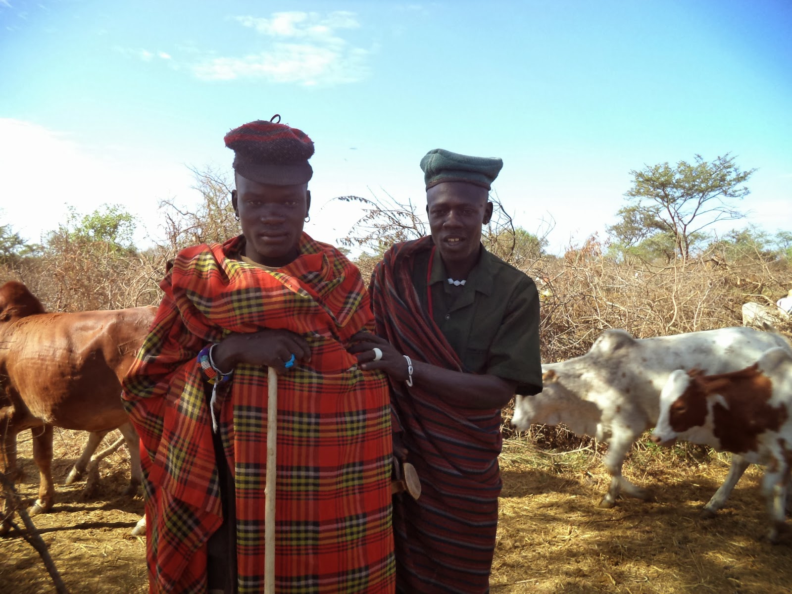 Sounds of the Jungle Discovery: KARAMOJA CULTURAL TOUR