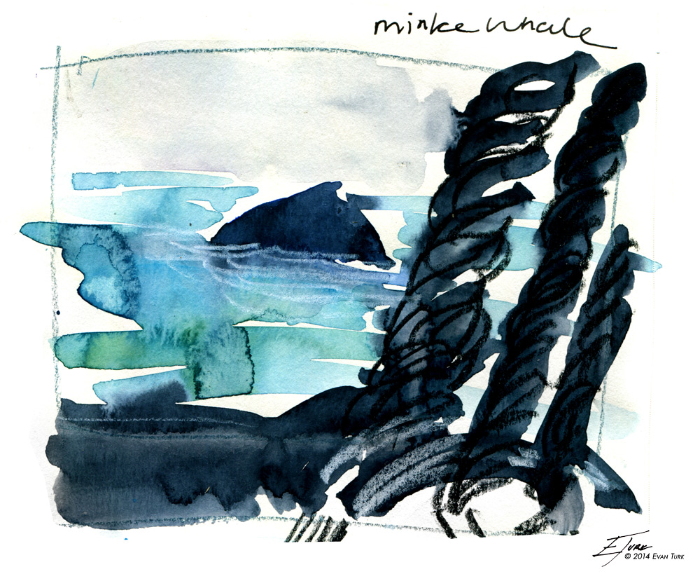 Let's Talk Picture Books: Let's Talk Illustrators #73: Evan Turk