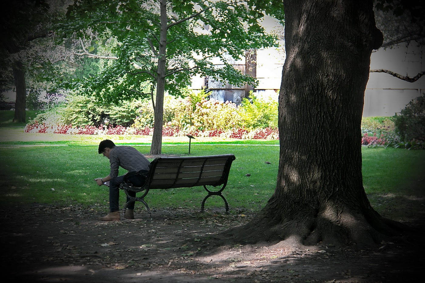 Eye Candy: Park Bench