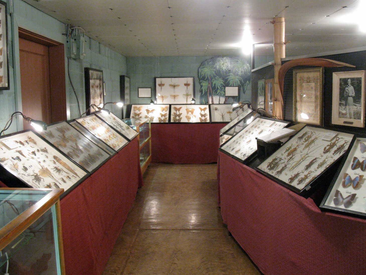 Eccentric Roadside: Meet the beetles: Colorado Springs' May Museum of ...