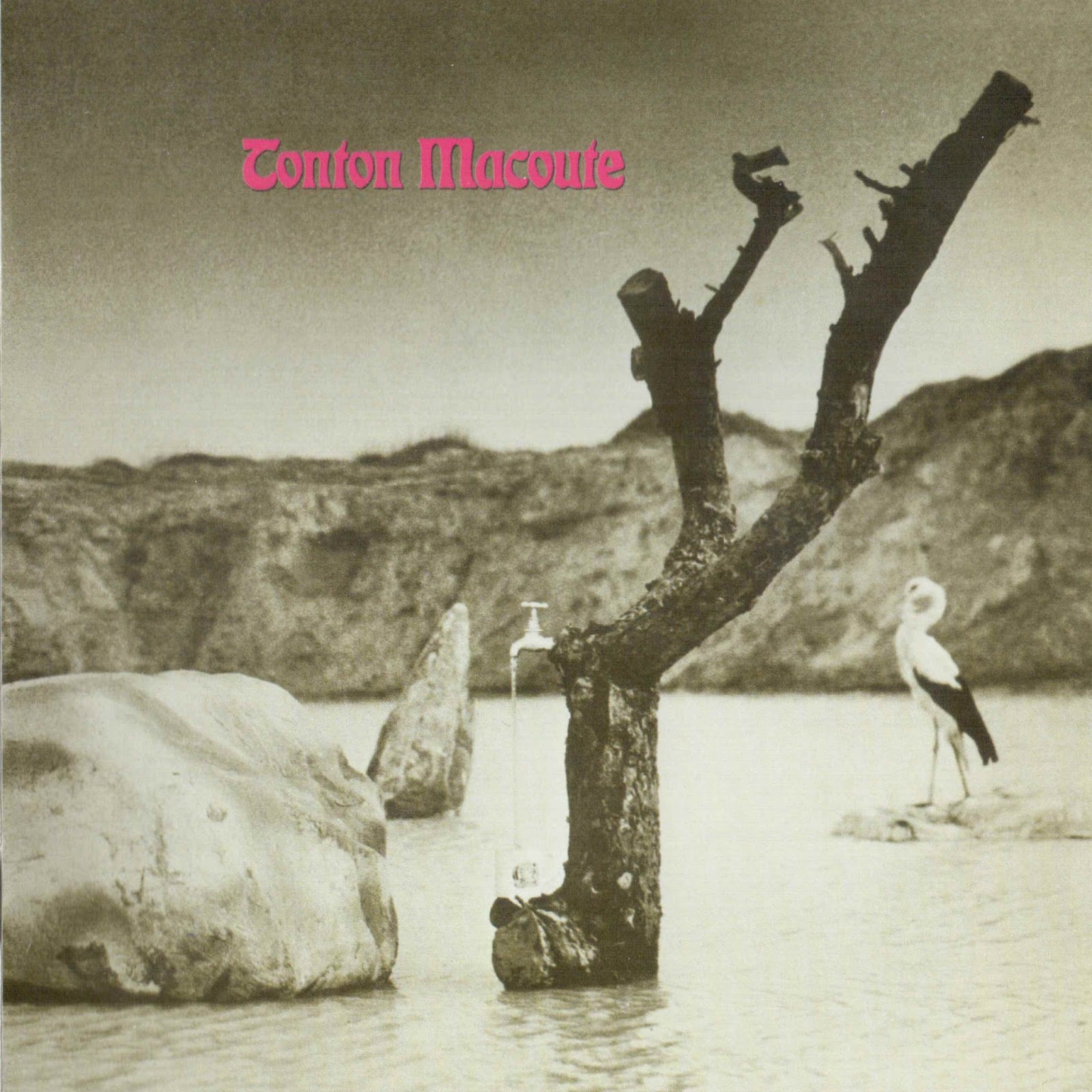 Musicology: Tonton Macoute - Tonton Macoute 1971