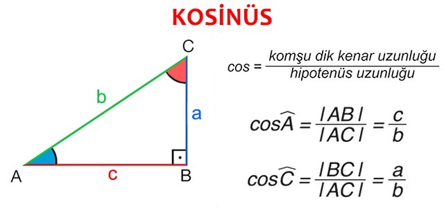 Oracle COS Fonksiyonu Kullanımı (Kosinüs)