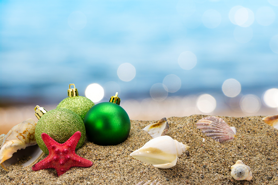 Life on Delmarva: Christmas By The Sea | Celebrating the Holidays at ...