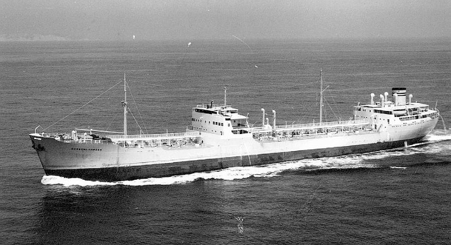 Tømmermann Bjarne Arnoldussen