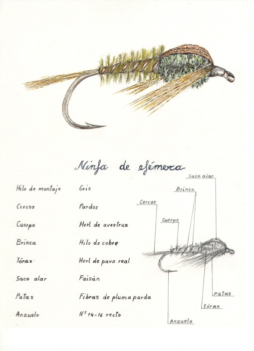 Artificial flies for fishing drawings and paintings: NYMPHS