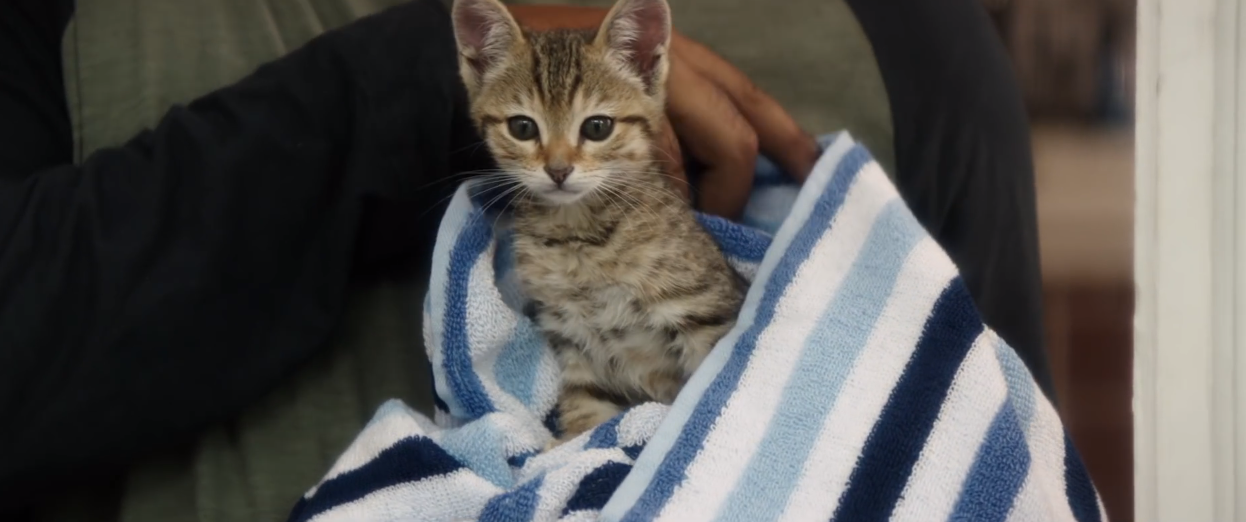 The Voracious Filmgoer: Cat People: KEANU