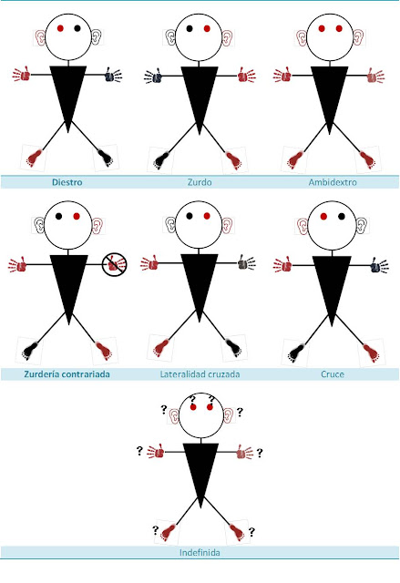Aprendizaje y neurodesarrollo: La lateralidad no sólo está en la mano