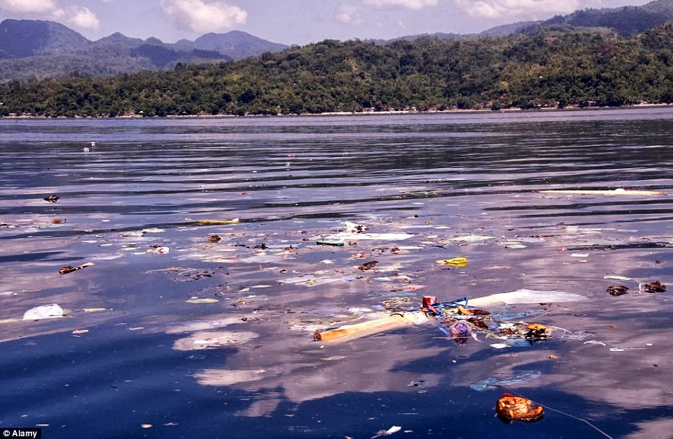 The Flying Tortoise: Dede Suryana Tries Surfing Through Waves Of Trash ...