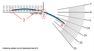 Individual Parameter Measurement: Face Form Angle - Simple Chart