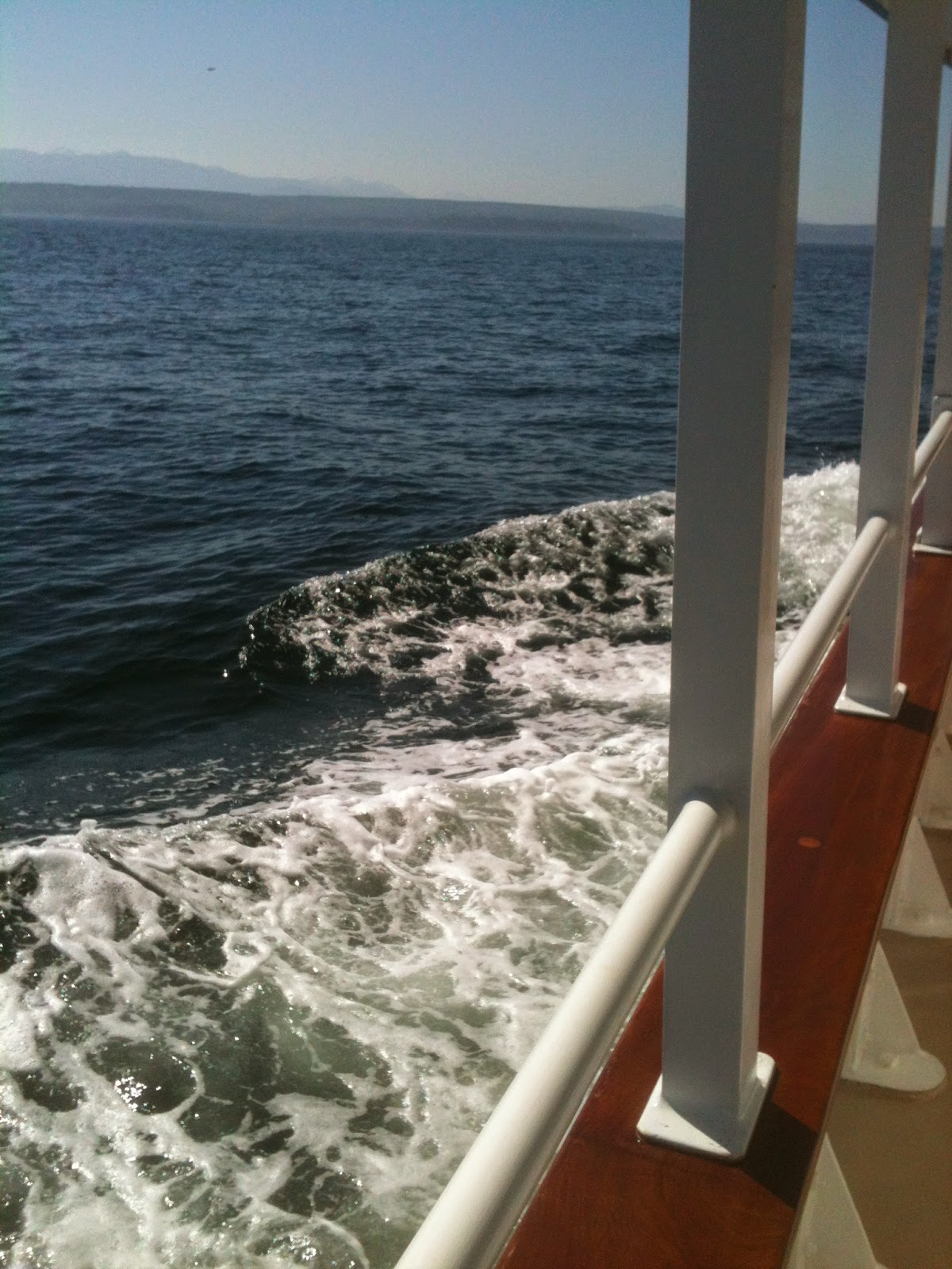 The Stewardship of MV Hecate Ranger: Hecate Ranger Random Photos