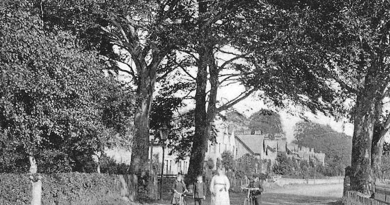 Tour Scotland: Old Photograph Craig Road Dingwall Scotland