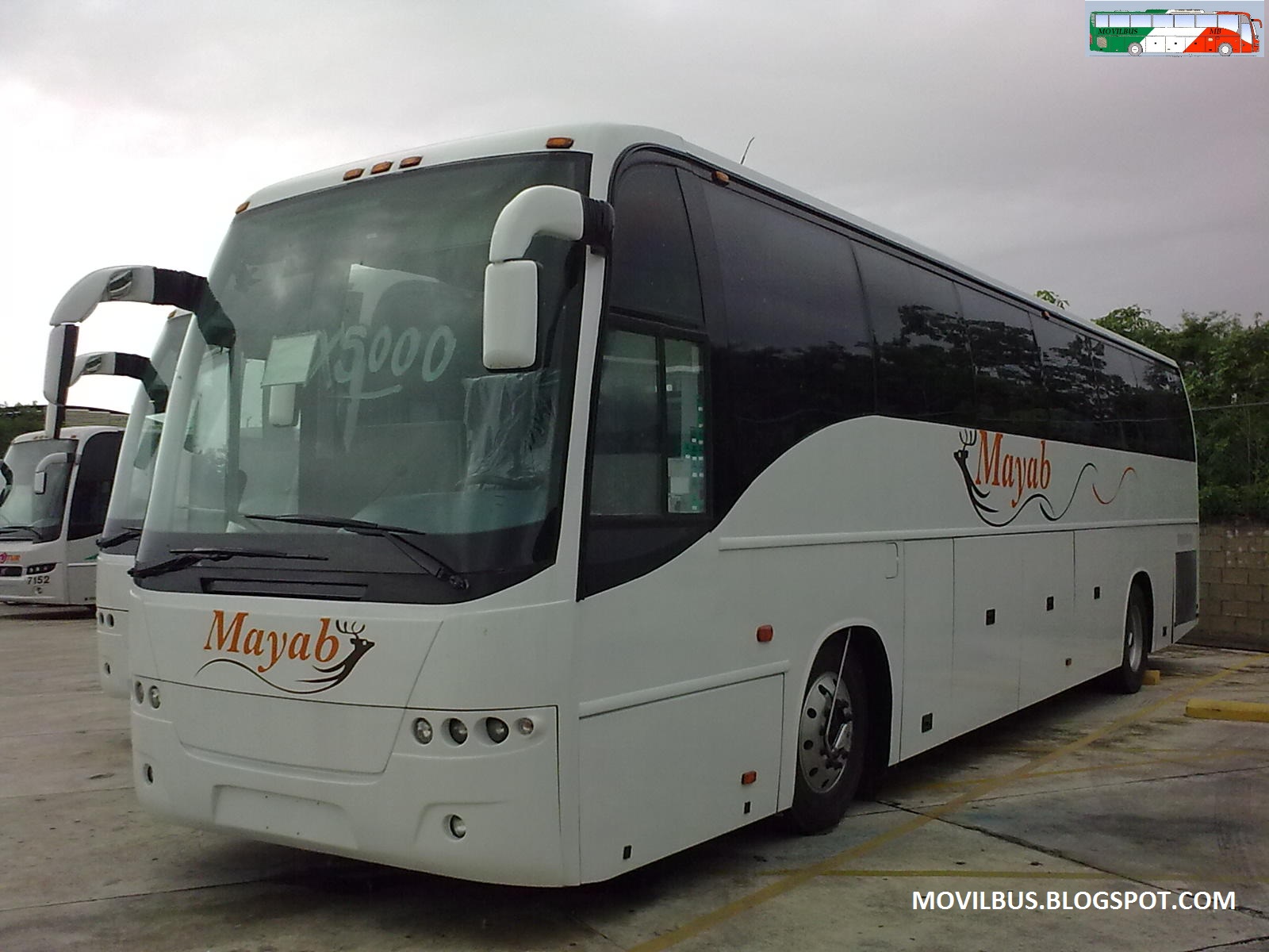VOLVO 9700 MAYAB