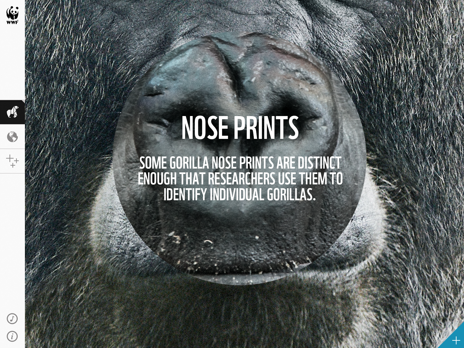 Great Kid Books: WWF Together - brilliant app for animal lovers, young ...