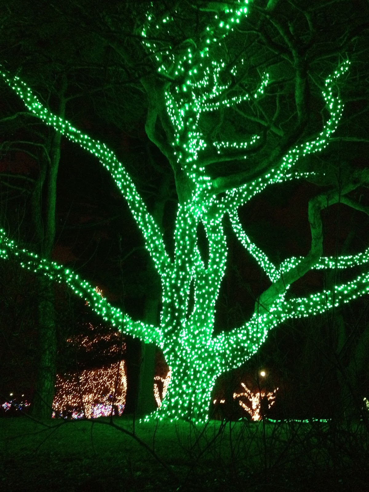 Ella At Last: Talk about radiant beams!