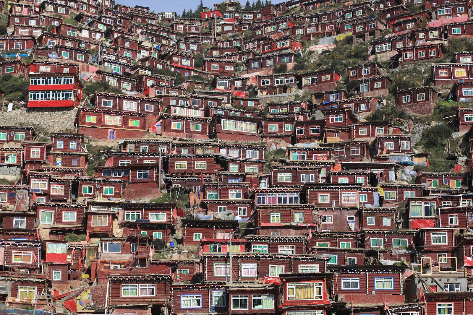 Heng's Photography & Sourdough Bread Exploration