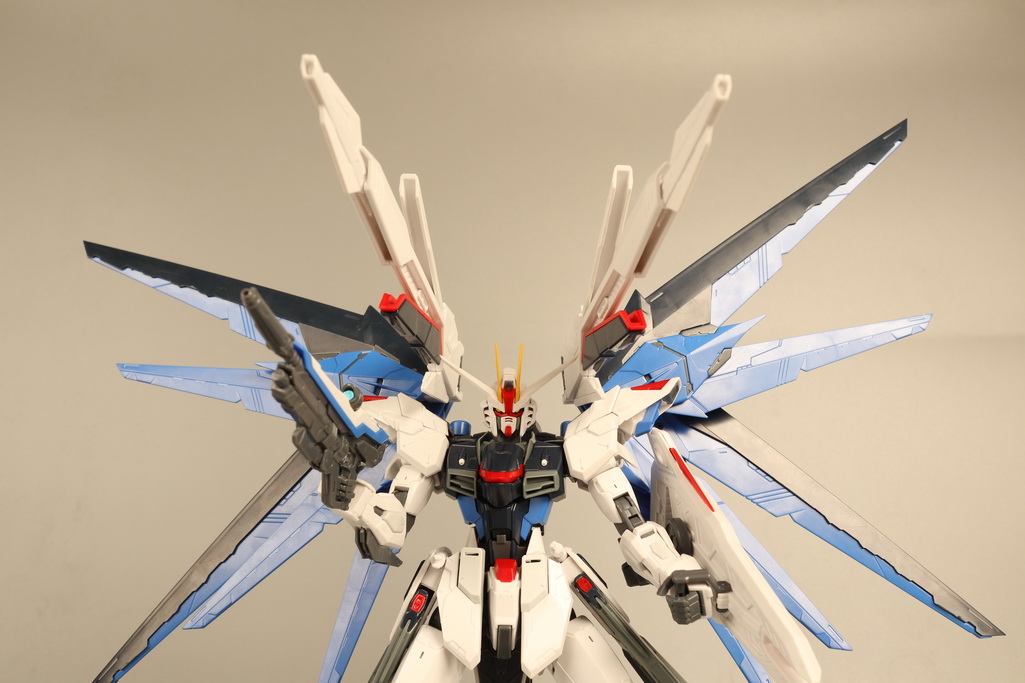 nu Type: Daban Model 6650 Freedom ver.2.0 (review)