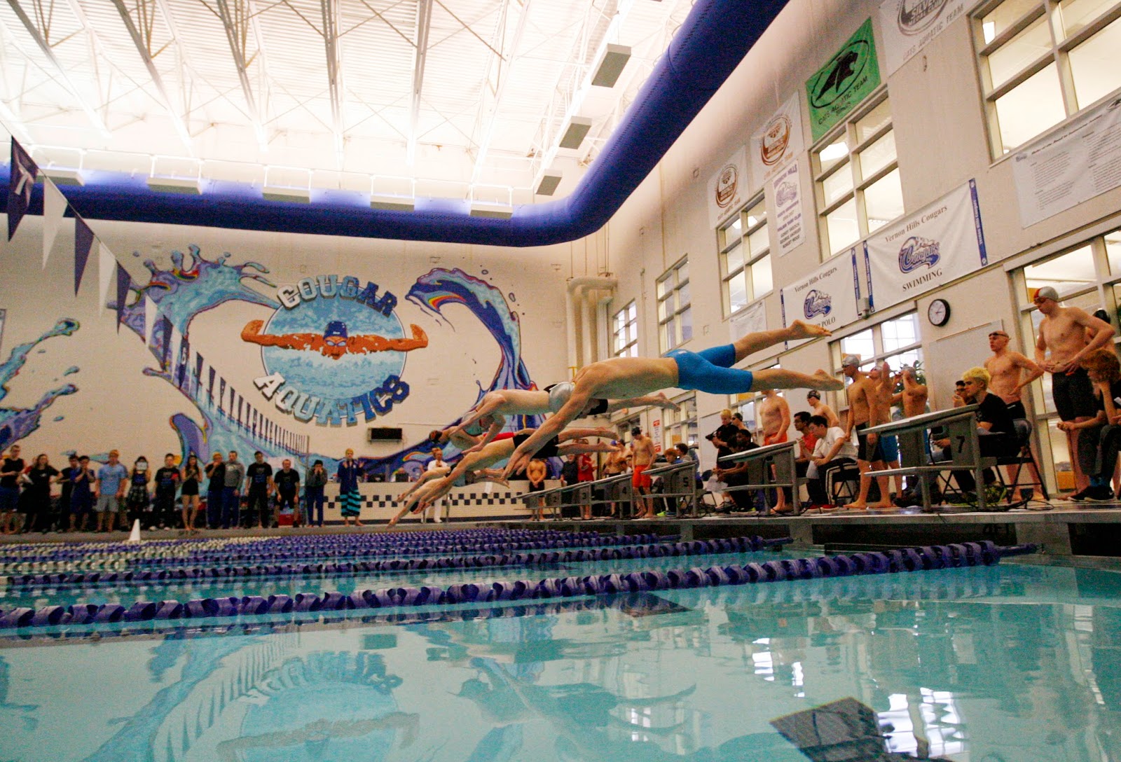 Mark Kodiak Ukena: IHSA Varsity Boys Swimming Sectionals