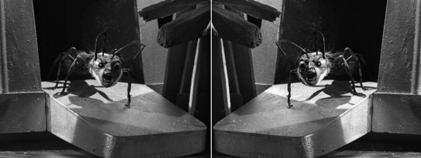 My Life in the Glow of The Outer Limits: Episode Spotlight: "The Zanti ...