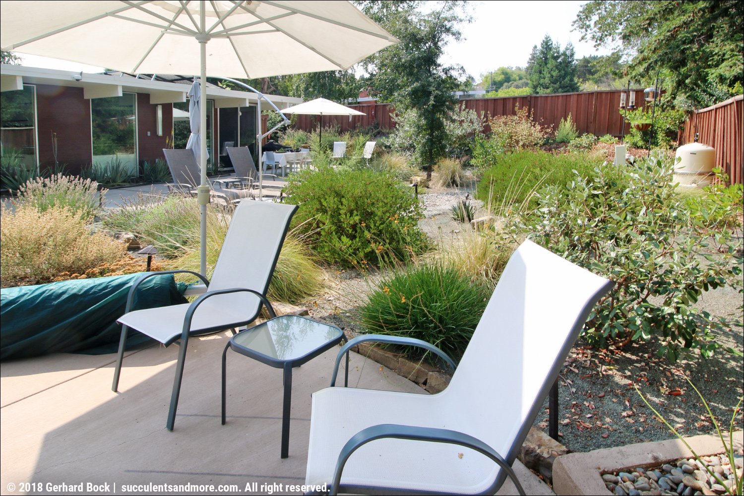 Two Walnut Creek neighbors embrace water-wise landscaping