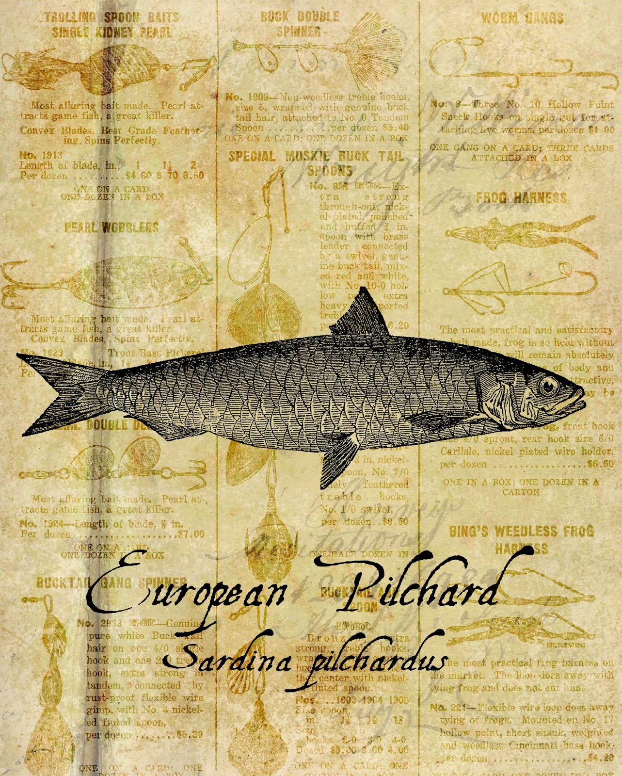 The Graphics Monarch: Printable Vintage Fish Shark Collage Artwork ...