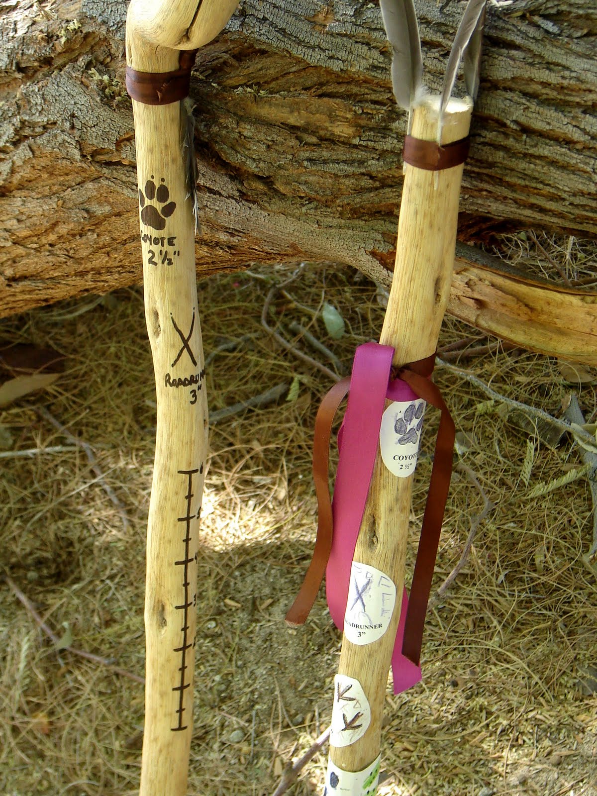 Restore Your (Family) Nature: Making Tracks Hiking Stick