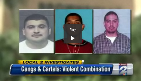 Gang Training - Palatine, Illinois REGISTER NOW