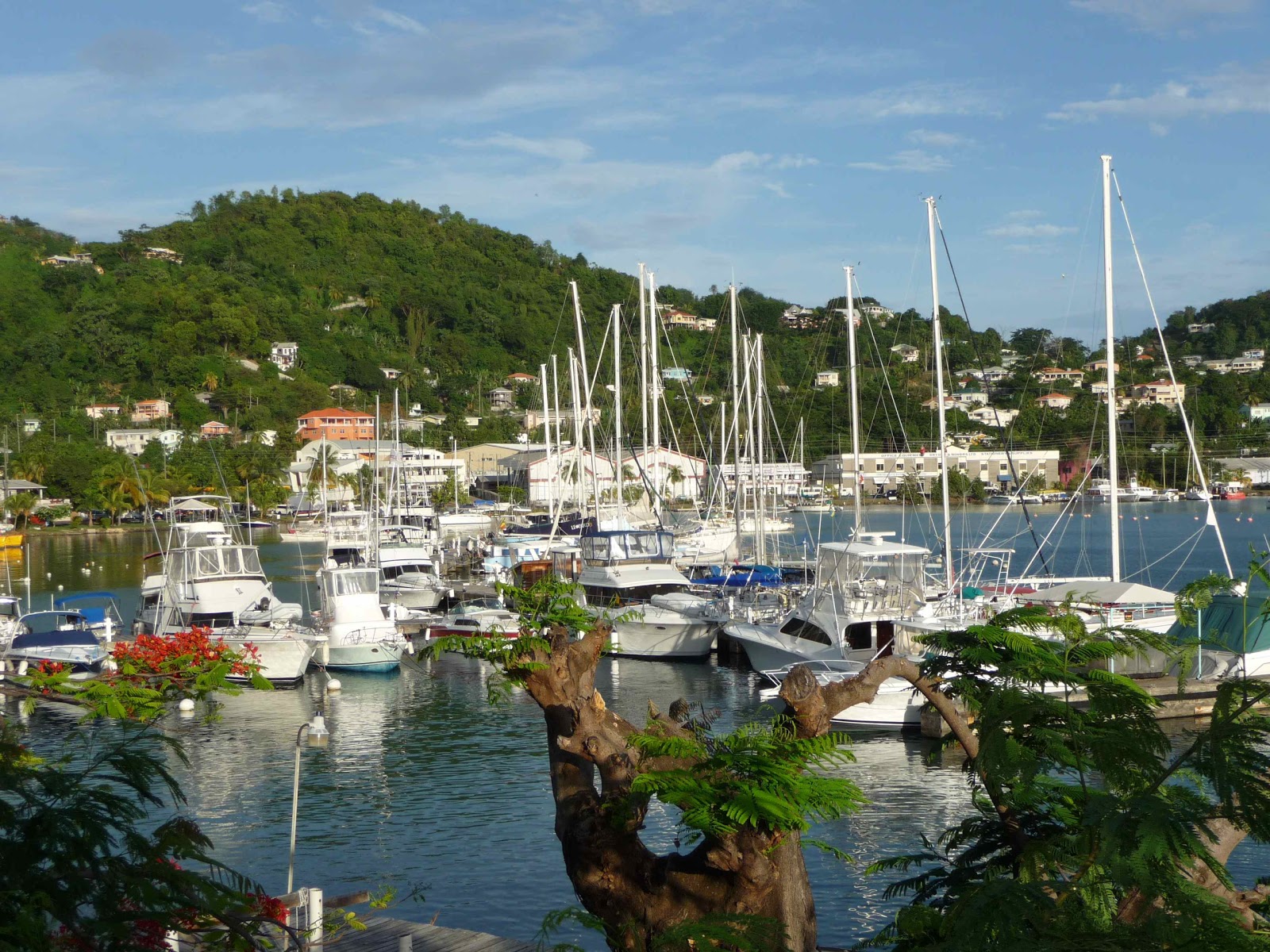 Travel & Adventures: Grenada. A voyage to Grenada, Caribbean Islands ...