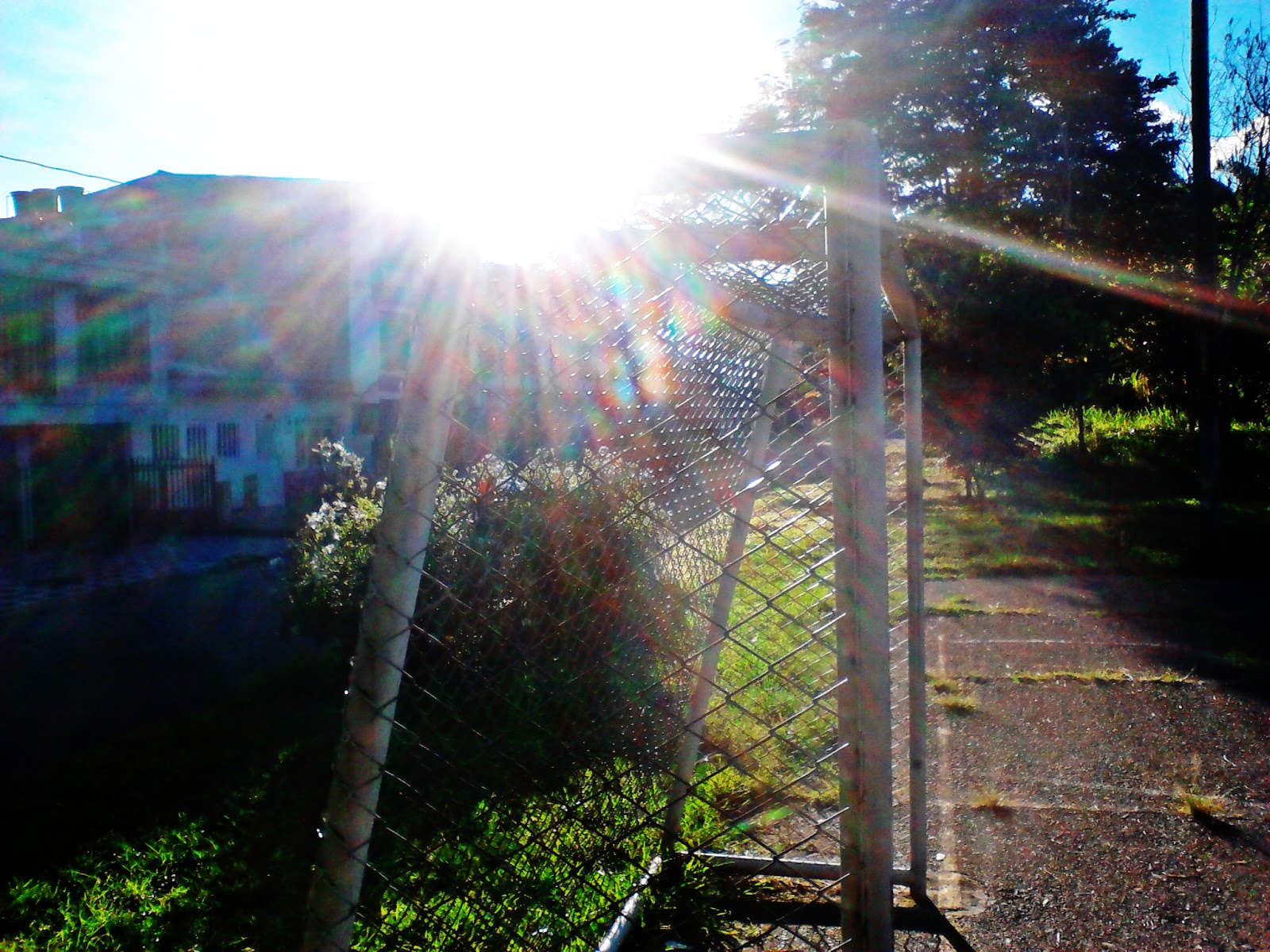 Evolución Daniel Zeid: Radiante Sol