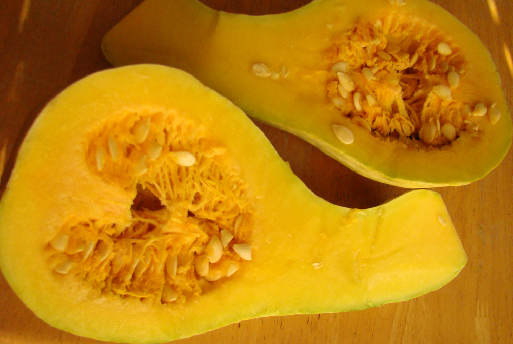 Rurification | Robin Edmundson: Greek Sweet Red Squash
