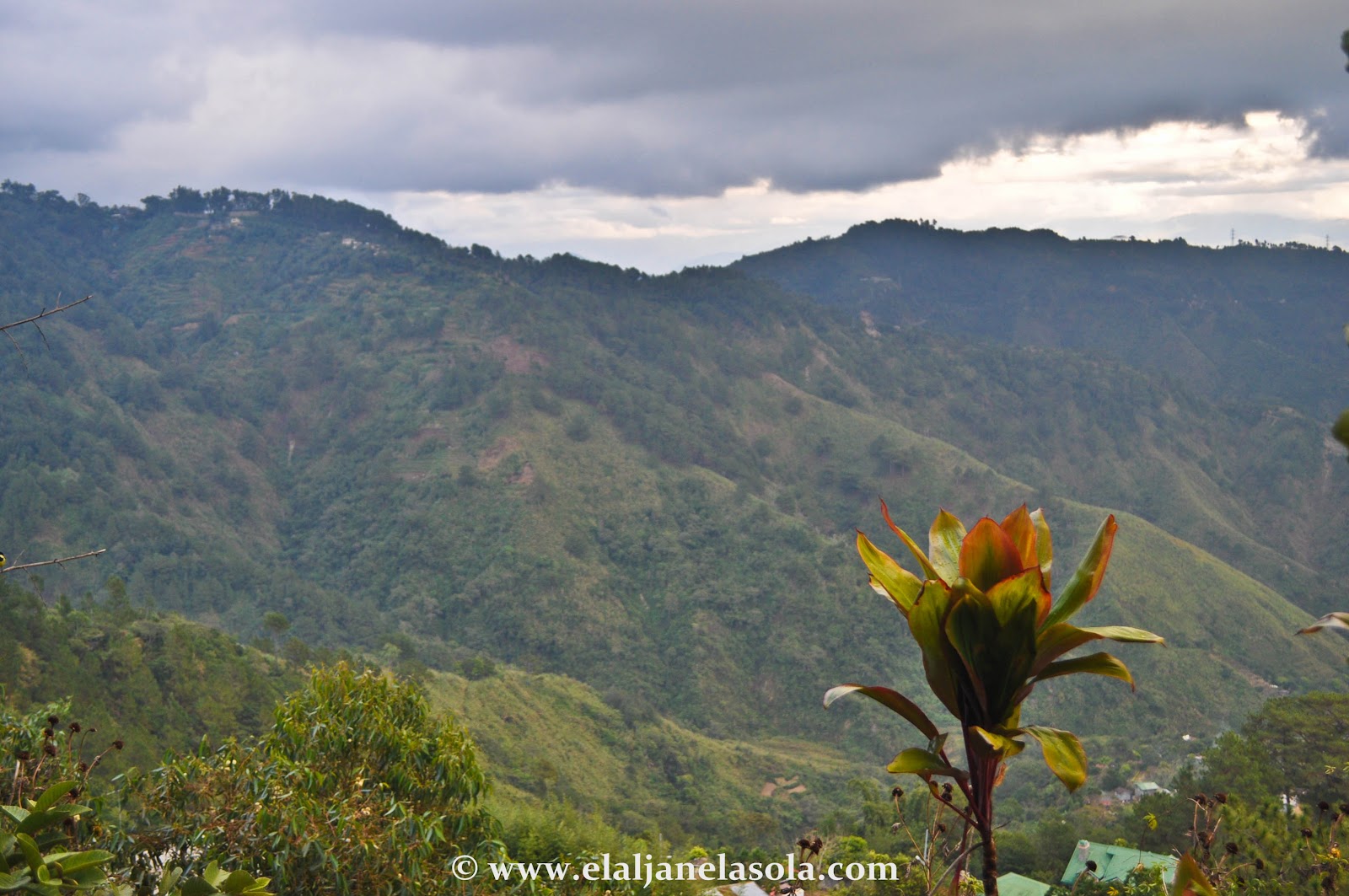 Elal Lasola Travel & Photography: Baguio City's Mines View Park