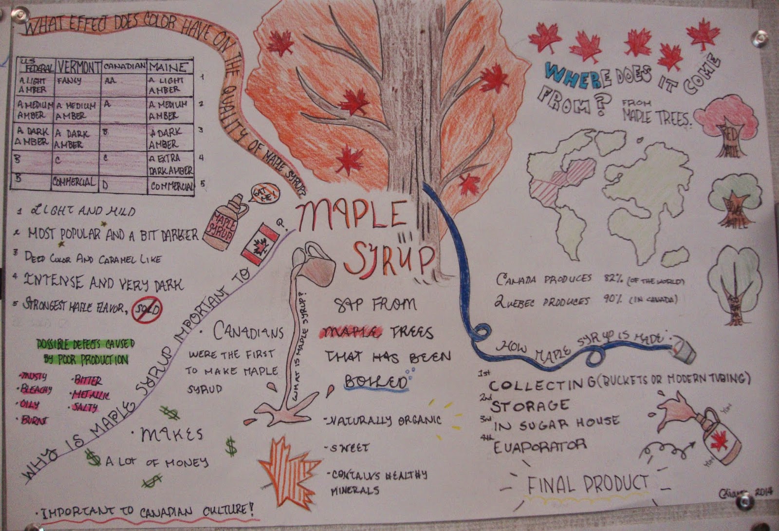 Richmond Regional Heritage Fair: September 2014