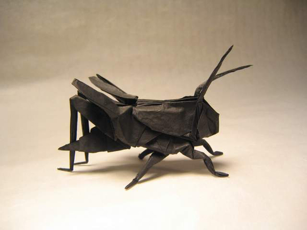 Amra Sabai Raja: Insanely Detailed Origami Insects