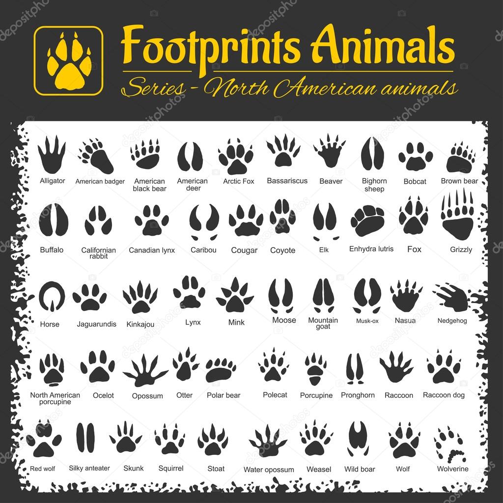 pegadas de animais - wood scribd braxin