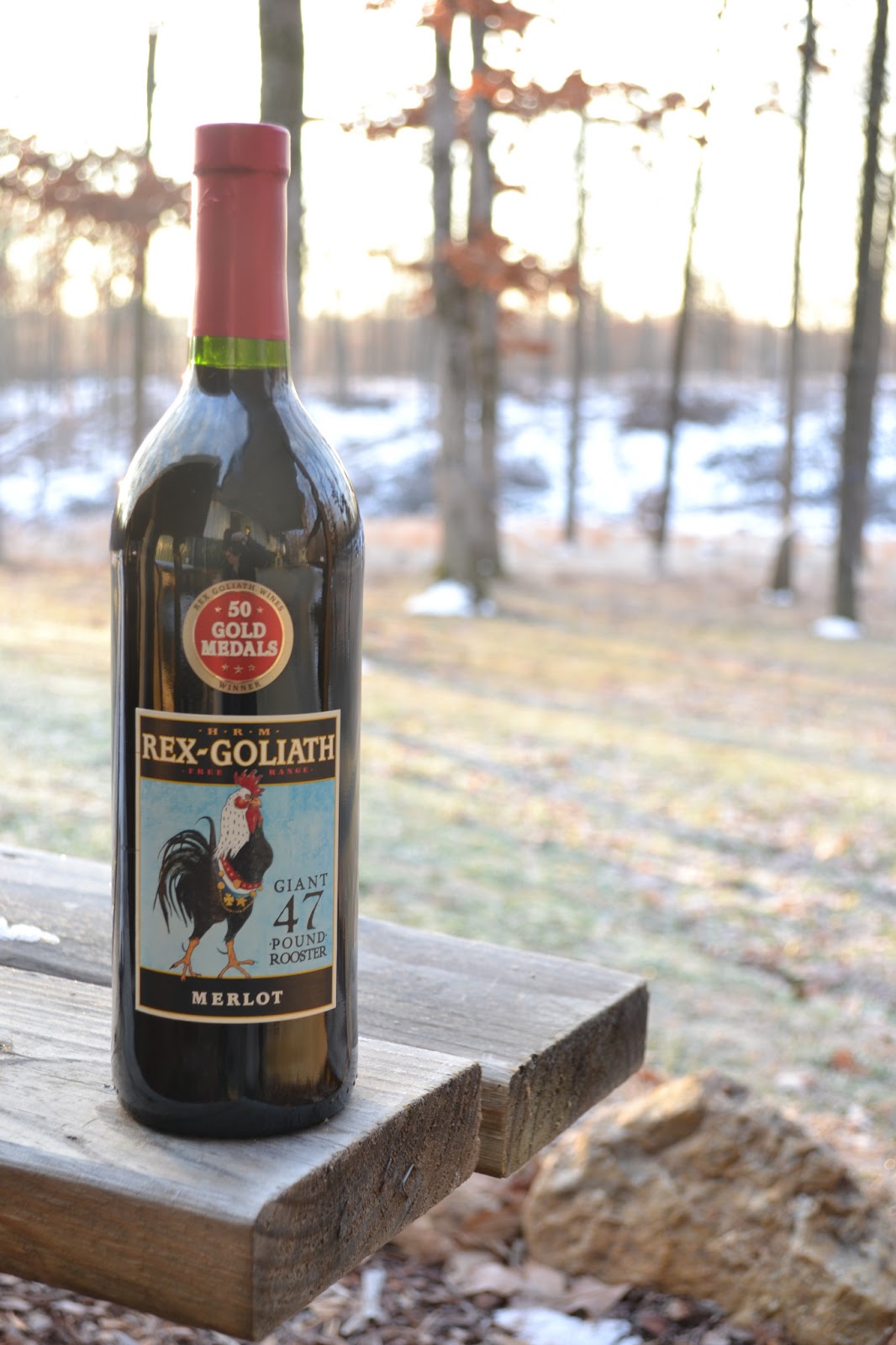 Our Neck of the Woods: Feathered Friend Friday