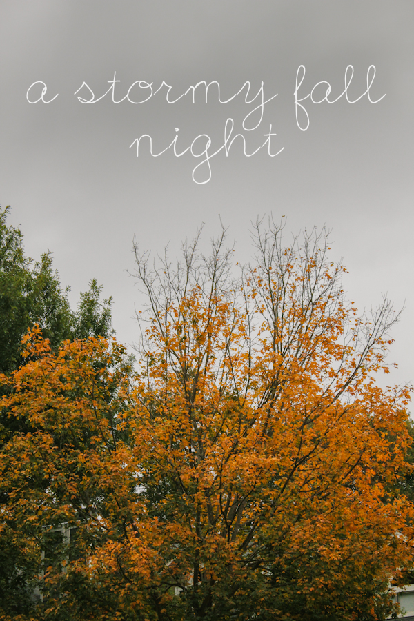 THE ARROW HOUSE: a chilly & stormy night here in raleigh...