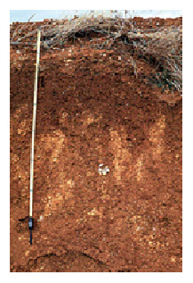 Geologia y Geomorfologia: SEMANA 6