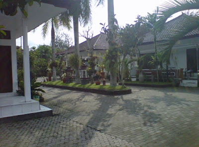 Taman Hotel Sederhana Dengan Tanaman Hias Daun Yang Indah