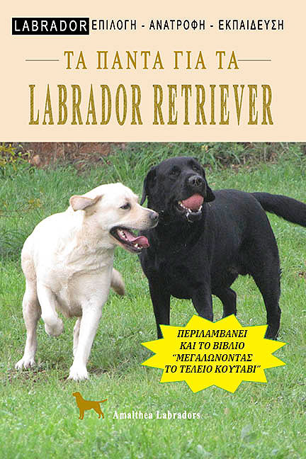 Λαμπραντόρ Ριτρίβερ