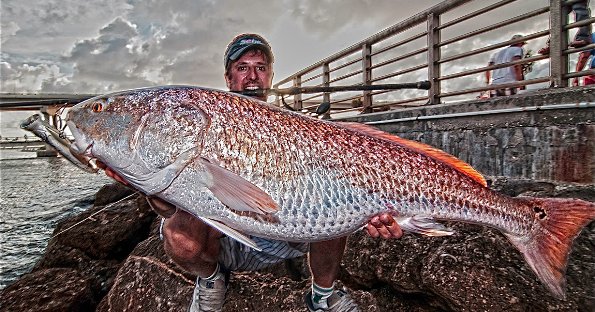 On Foot Angler: "PIG"